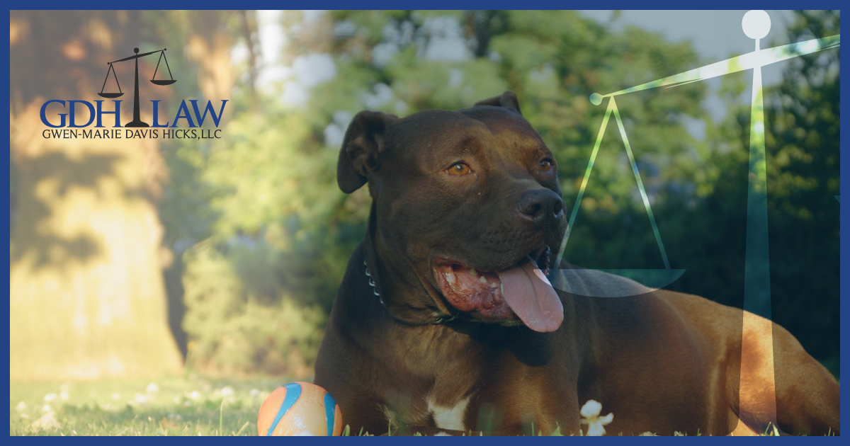 New Bill May Lift Pit Bull Ban in Prince George's County, Maryland ...